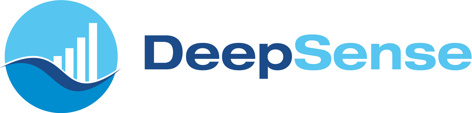 DeepSense - Growing the Economy with Artificial Intelligence